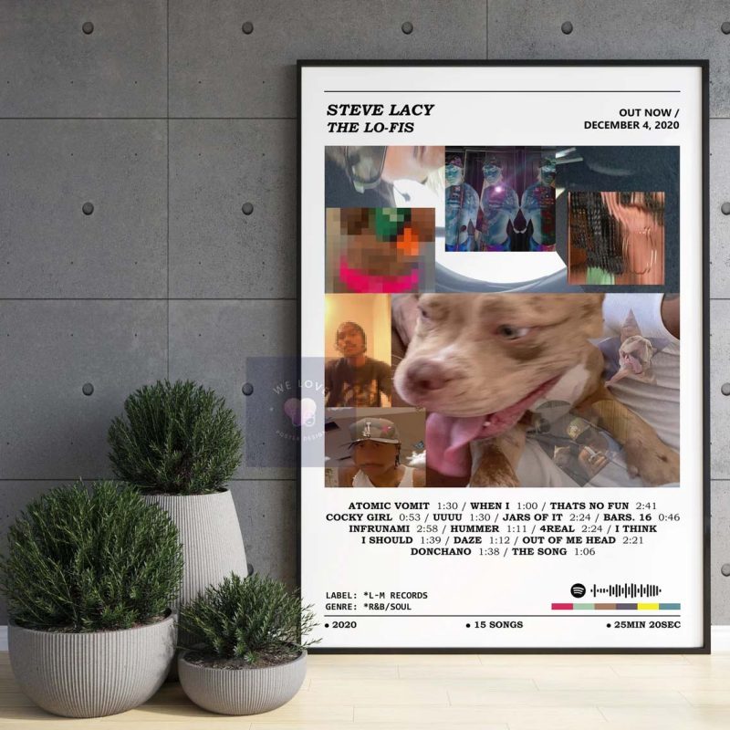 Steve Lacy The Lo-Fis Album Poster