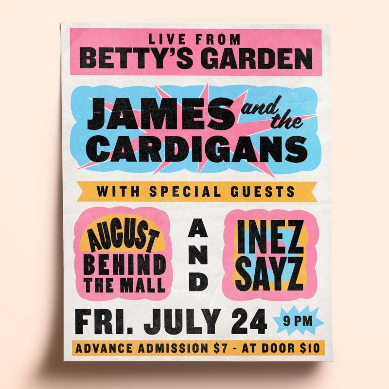 Taylor Swift Folklore Concert Poster